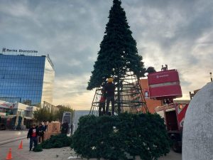 Komuna e Prishtinës përgatitet për festat e fundvitit, vendoset bredhi ...