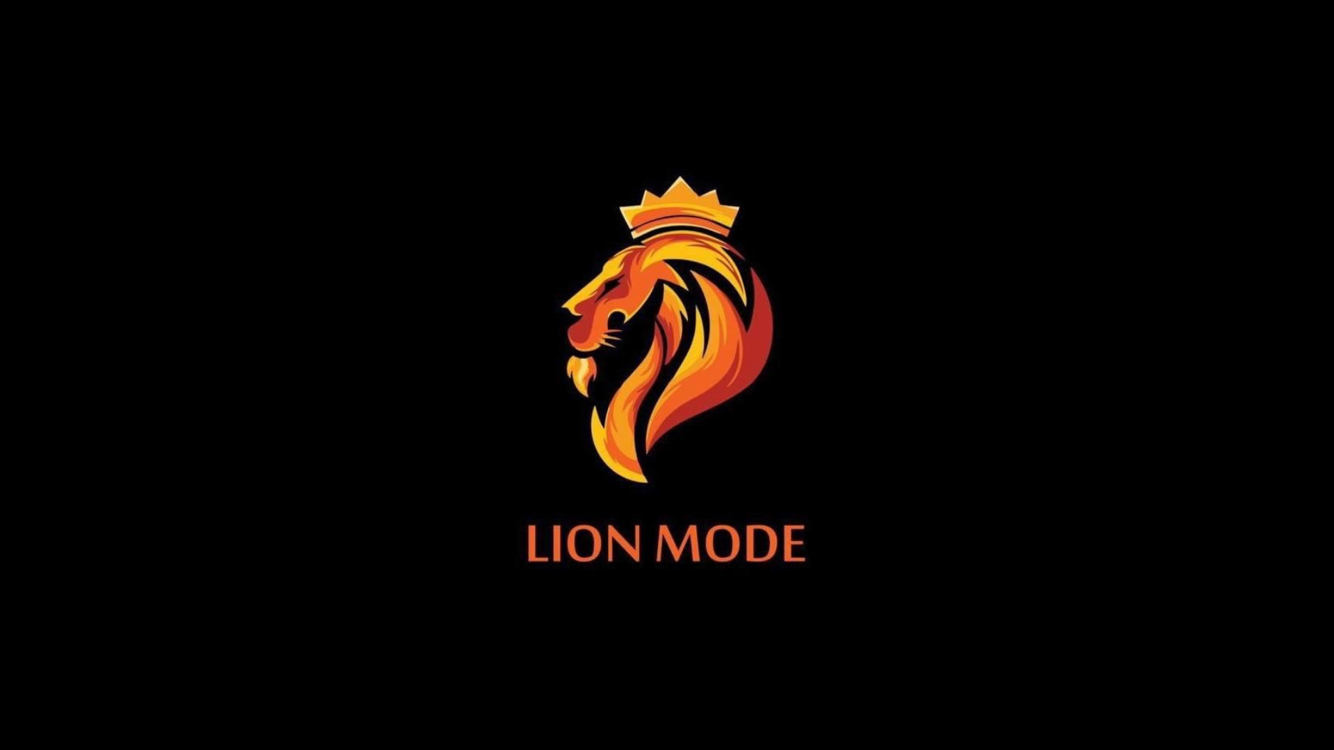 “Lion Mode” e specializuar në fushën e financave ofron këto shërbime ...