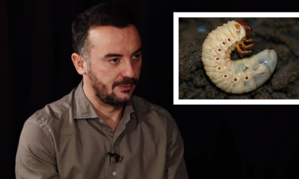 Molliqaj i quan ‘larva’ pushtetarët: Një nga një duhet të hiqen krimbat ...