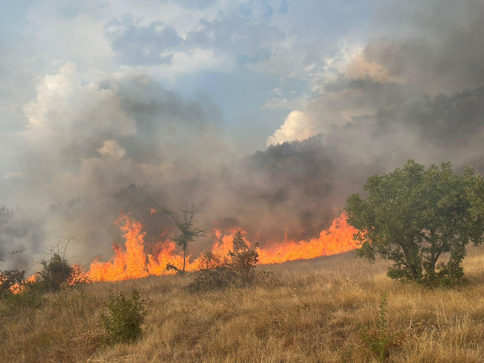 Në Terbovc të Lipjanit zjarri i përfshin një pjesë të fushave - GazetaBlic